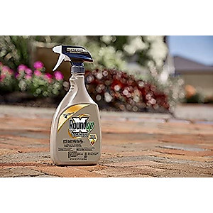 Roundup 5107300 Extended Control Weed and Grass Killer Plus Weed Preventer II Ready-to-Use Trigger Spray, 24-Ounce (2 Pack(24 oz bottles))
