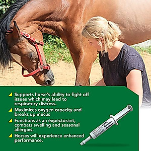Ramard Total Respiratory & Endurance Syringe for Horses, Equine Vitamin & Supplements, Veterinary Supplies, with Clairisol, Methyl Parabens, Peppermint Oil & Sodium Benzoate 1/2 oz, 1-Pack