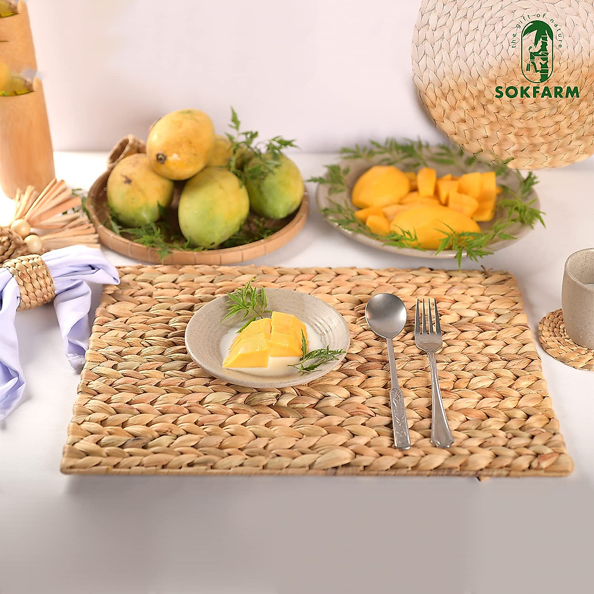 SOKFARM Boho Placemats Set of 8, Rectangle Placemats for Dining Table, Water Hyacinth Wicker Placemats, Straw Placemats Rectangle Woven Placemats Set of 8, Placemats for Dining Table Set of 8, 17x12