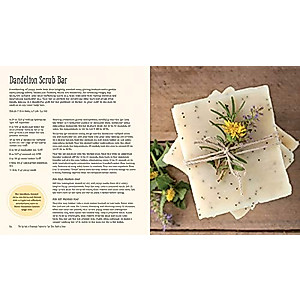The Big Book of Homemade Products for Your Skin, Health and Home: Easy, All-Natural DIY Projects Using Herbs, Flowers and Other Plants