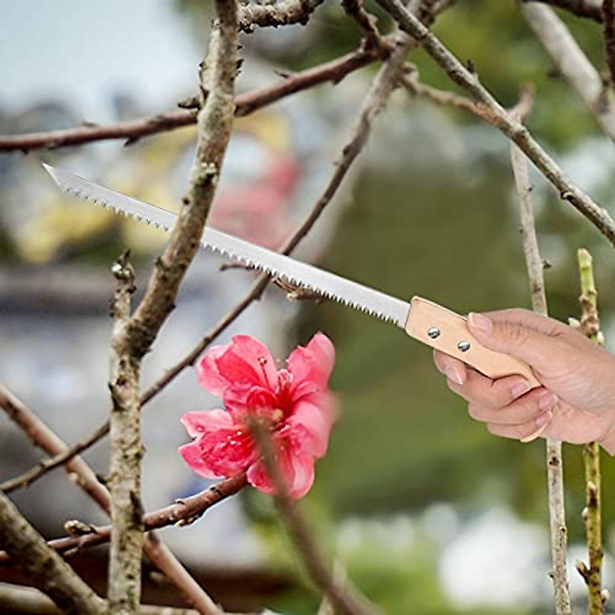 Hand-Held Pruning Saw, Bonsai Saw and Tree Trimmer, Narrow Blade Bonsai Saw, Fast Cutting Hand Tool for Ikebana Bonsai Lawn Garden