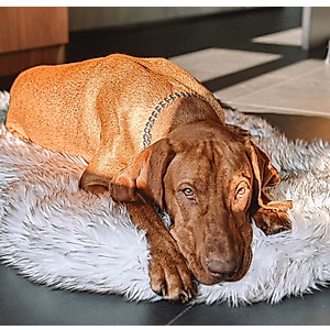 IHAPPYDOG Luxury Faux Fur Orthopedic Dog Bed, Memory Foam Dog Bed​ for​ Small, Medium, Large and XL Pets, Fluffy Pet Rug with Waterproof ​and ​Washable Cover, White, Medium 40x25”