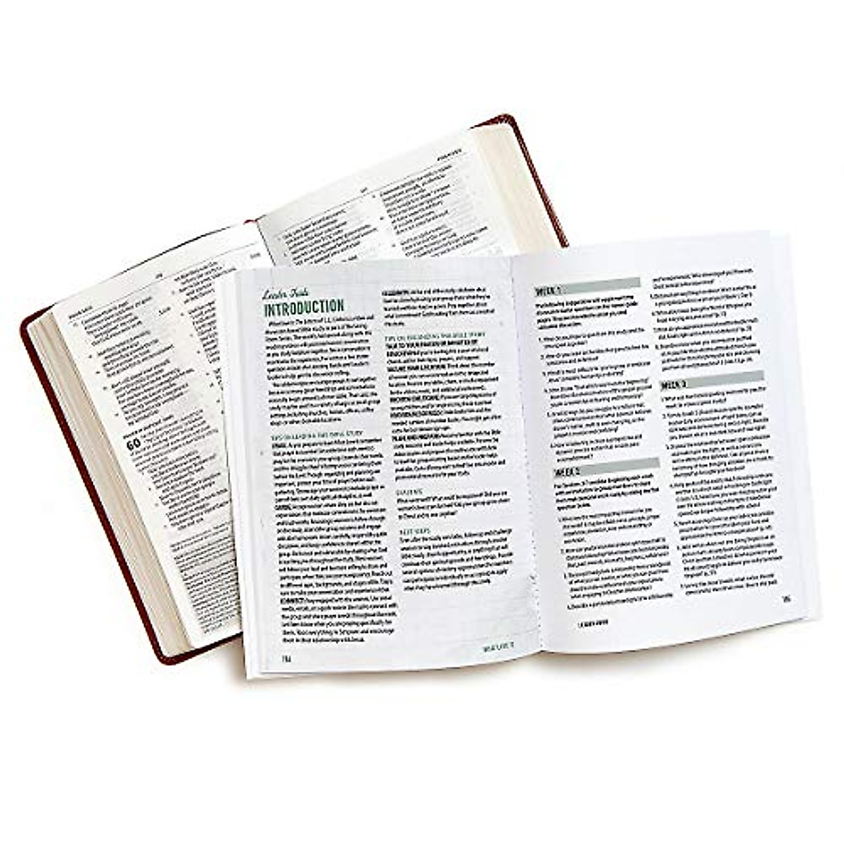 What Love Is - Bible Study Book: The Letters of 1, 2, 3 John (The Living Room Series)