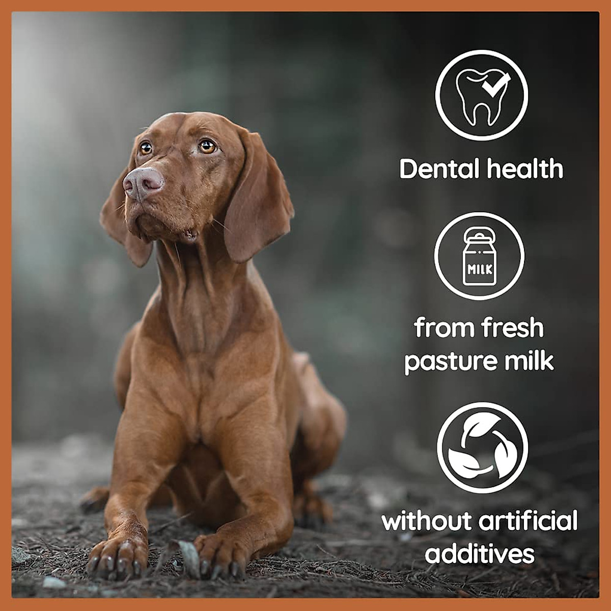 Wildfang® Yak Chews for Dogs, Chewing Bone Dog from Cow Milk - Hard Cheese Chewing Cheese for Dogs from Pasture Milk, Yak Himalaya Recipe, All Dog Sizes and Puppies, Himalaya Yak Dog Chewing Bone