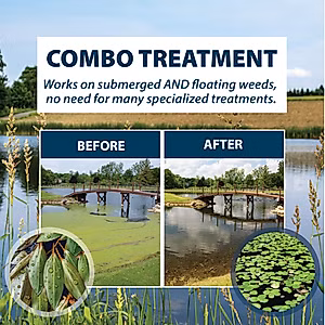 Airmax Wipeout Pond Weed Defense, Herbicide & Aquatic Weed Control, Controls Duckweed & Other Unwanted Submerged & Floating Vegetation, Easy-to-Use & Long Lasting, All-Season Treatment - 32 Ounce