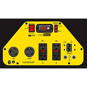 Champion 8000-Watt Dual Fuel Portable Generator with Electric Start