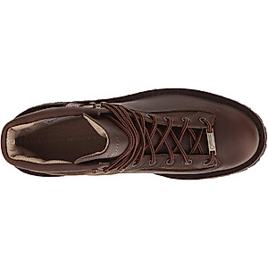 Danner Men's 33020 Light II 6" Gore-Tex Hiking Boot, Dark Brown - 8 D