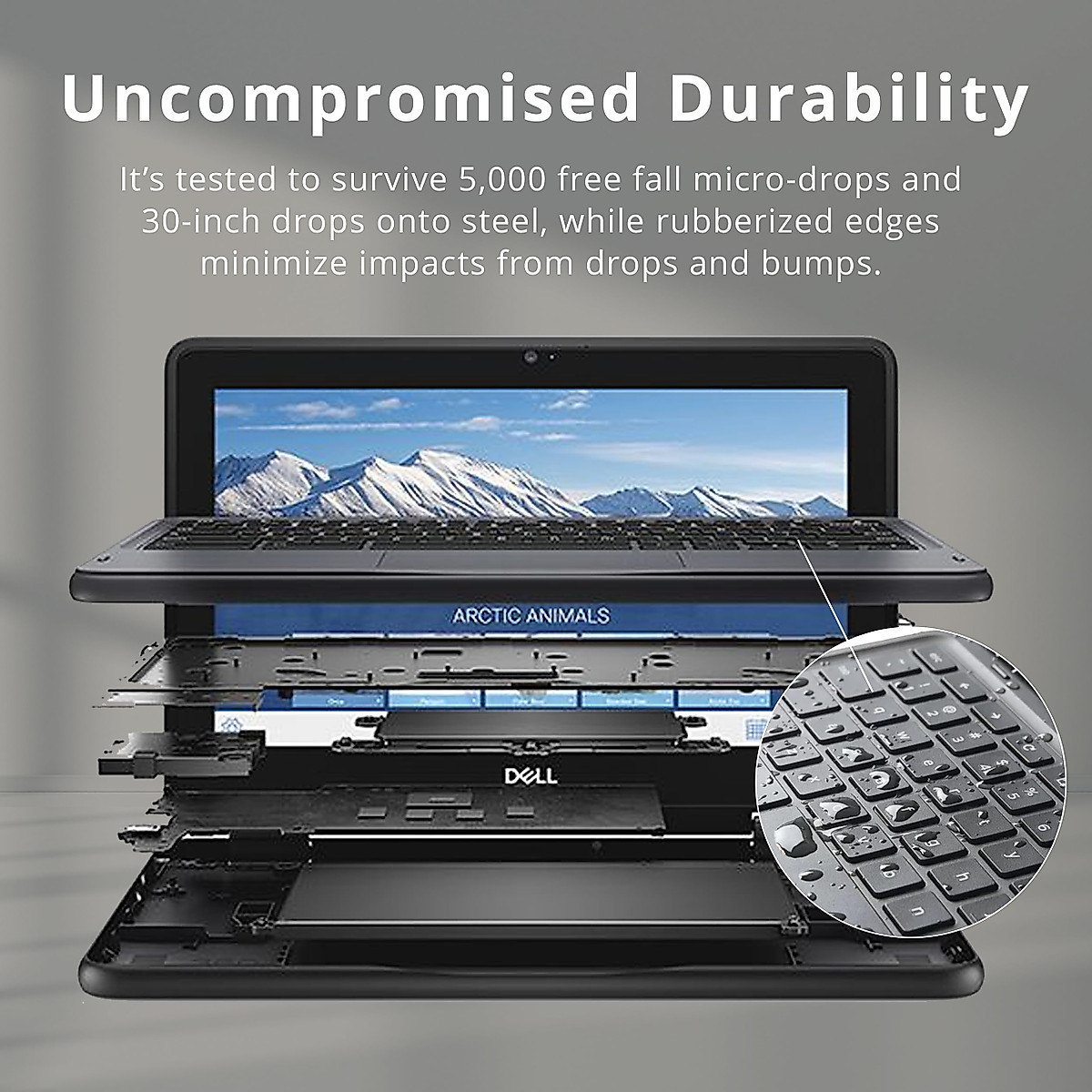 Dell Chromebook 11 3000 3100 11.6" Chromebook - HD - 1366 x 768 - Intel Celeron N4020 Dual-core (2 Core) - 4 GB RAM - 16 GB Flash Memory - Chrome OS - English (US) Keyboard - 14 Hour Battery Run