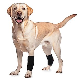 ROZKITCH Dog Leg Protector for Rear Hock Joint or Front Leg Brace, 1 Pair of Dog Leg Compression Wrap Sleeve for Anti Licking Carpal Support Ankle Support Protect Injury Sprain Torn ACL CCL Black L