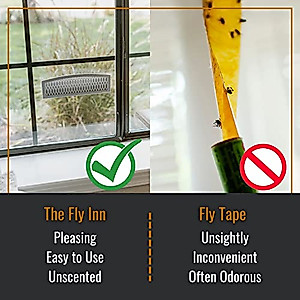 Dr. Killigan's The Fly Inn | Window Fly Traps | Sticky Fly Strip | Indoor Insect Trap | Catches and Hides Bugs | Better Than Fly Paper or Ribbon | Get Rid of Flies | (2+4, Gray)