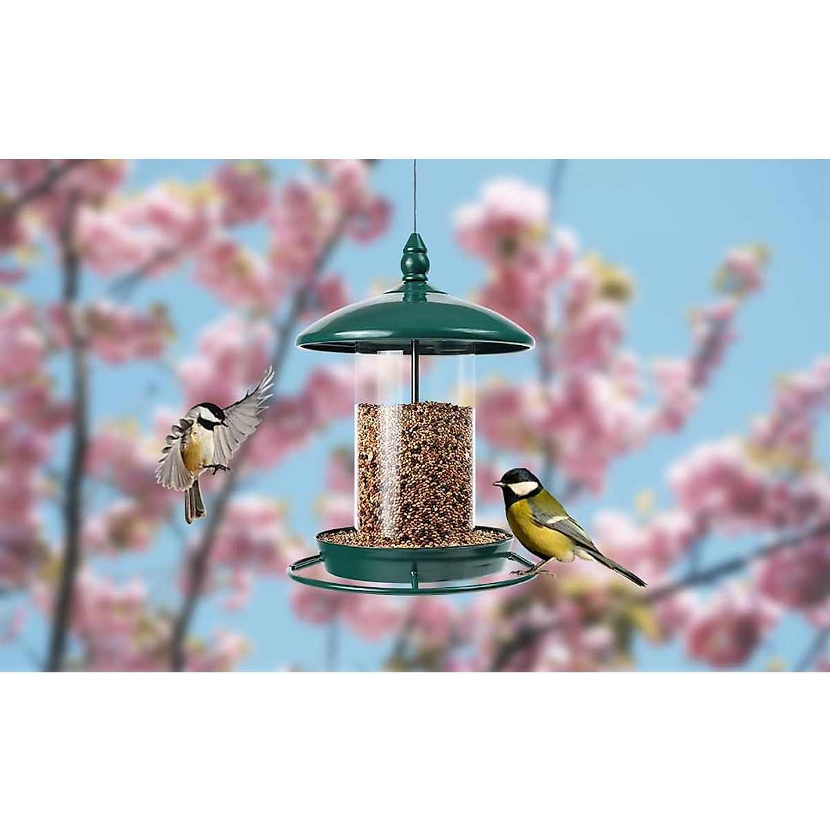 Bird Feeder for Outdoors, Small Bird Feeder, Holds 1.50LB Seeds, Suitable for Small Seed Grains, Metal Bird Feeder for Outdoors Hanging