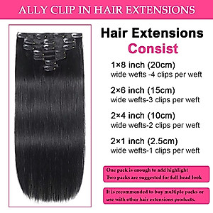 ALLY Straight Clip in Hair Extensions Real Human Hair 100% Remy Virgin Human Hair Clip ins Extensions Clip-in Hair Extensions for Women Double Weft Soft Hair No Tangles (20 Inch #1 Jet Black)