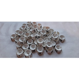 Hanger Marker, Sequential Numbers 1-50