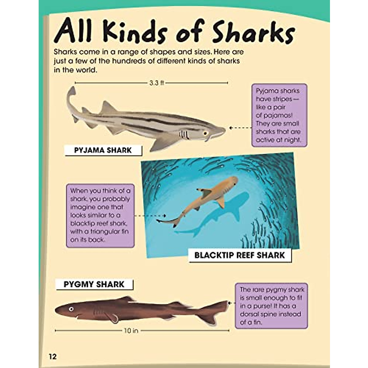 Shark Facts & Activity Book For Kids 5-9: Activities and Information on Hammerhead, Tiger, Great White, Whale Sharks and more with Coloring, Mazes, Experiments (Gold Stars Series)