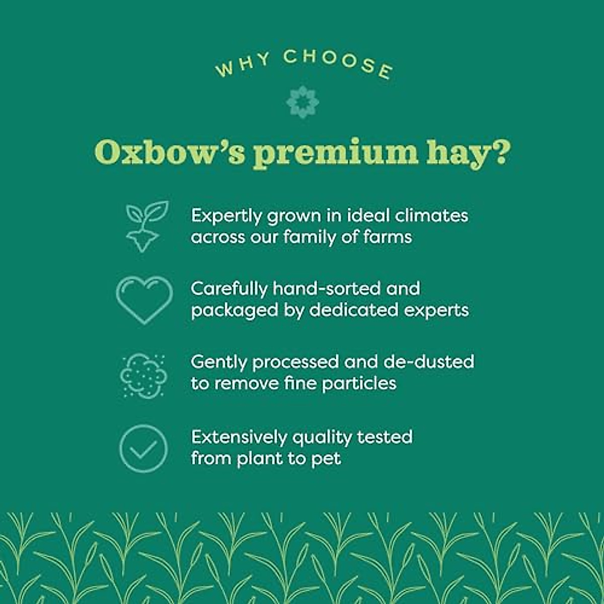 Oxbow Animal Health Western Timothy Hay - All Natural Hay for Rabbits, Guinea Pigs, Chinchillas, Hamsters & Gerbils -Veterinarian Recommended- Grown in the USA-90 oz.