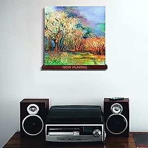 Qunclay 2PCS Now Playing Vinyl Record Stand Vinyl Record Wall Mount Solid Wood Vinyl Record Stand Record Display Shelf Record Holder Wall Mount with Plate Groove and Self Drilling Screws (Brown)