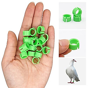 MINYULUA Pigeon Cage Door with 2pc Large Pigeon Feeder and Bird Leg Bands, Pigeon Loft Door for Parrots Bird Poultry Racing Pigeon Supplies, Food Dish Dispenser Tool