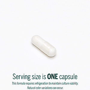 Genestra Brands - HMF Forte Probiotic Supplement - Four Strains of Probiotics to Promote GI Health - 60 Capsules