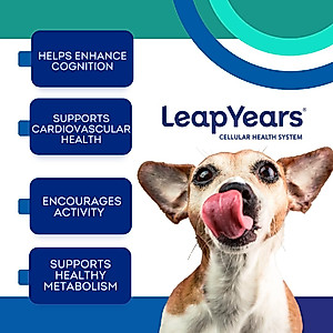 Leap Years Soft Chew Dog Supplement – Clinically Proven Daily NAD & Senolytic Formula; Support Cognition, Vitality & Healthy Cellular Aging; Beef Flavor (Large Breed (55-76 lbs))