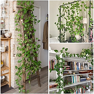 WhOnline 10pcs Fake Vines 69ft Artificial Greenery Garland Fake Hanging Plants Greenery Wall Backdrop for Home Bedroom Wedding Decoration Jungle Theme Party Supplies