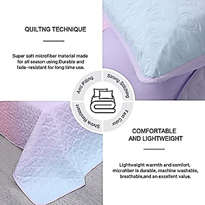 DREAMCLOUD HOME Quilt Set Full Queen Size 3 Piece, Bailey Pattern Printed Bedding Coverlet Set, Lightweight Soft Reversible Bedspread Sets for All Season (1 Quilt & 2 Pillow Shams)