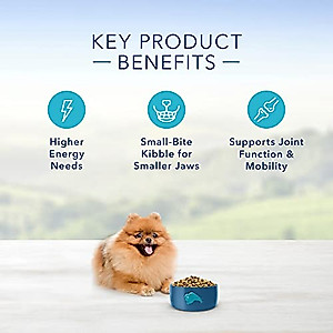 Blue Buffalo Life Protection Formula Natural Adult Toy Breed Dry Dog Food, Chicken and Brown Rice 4-lb