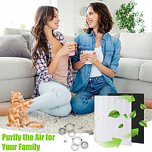 Aunifun True HEPA Replacement Filter with 4 Activated Carbon Pre Replacement Filters A 115115 Size 21 for Winix PlasmaWave 5300 6300 5300-2 6300-2 P300 C535