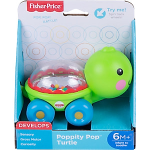 Fisher-Price Poppity Pop Turtle