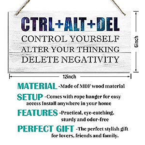 CTRL+ALT+DEL - Control Yourself-Alter Your Thinking - Delete Negativity. Inspirational Home Office Decor，Bedroom Decor, Farmhouse home decoration sign，or Any Other Home Decor