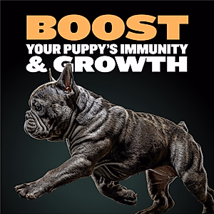 Bully Max Wet Puppy Food - Instant Fresh Dehydrated High Protein Soft Dog Food with Chicken - Healthy Growth for Small & Large Breed Puppies - 6 Dry Dog Food Pounds (Makes 16.5 lbs. of Wet Dog Food)