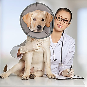 Noble Hydric Pet Cone for Small Dogs and Cats,Cat Cone Collar Soft to Stop Licking Extra Soft Dog Cone Alternative After Surgery for Large Medium Small Dogs-Adjustable 13.4"-15.7" Recovery Cone(L)