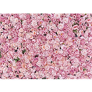 BINQOO 8x6ft Mother's Day Pink Flowers Backdrops Spring Pink Rose Wall Background Girls Women Birthday Tea Party Backdrop Weeding Bridal Shower Anniversary Ceremony Decor