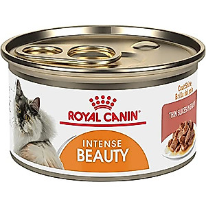 Royal Canin Feline Health Nutrition Canned Cat Food,Thin Slices in Gravy- 3 Ounce Cans- 12 Pack Variety Bundle- 2 Flavors with Pets Food Bowl (6) Adult Instinctive (6) Intense Beauty