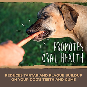 Mighty Paw Naturals Bully Sticks - All-Natural Protein-Rich Dog Chews from Grass-Fed Beef. Single-Ingredient Pet Treat for Dental Health. Keeps Chewers Busy - Bully Stick - Dental Chew Dog - Dog Stick