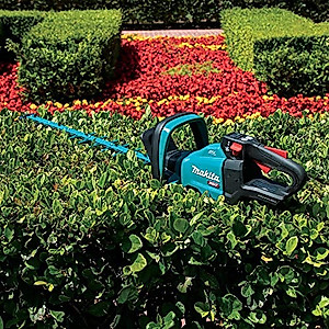 40V max XGT® Brushless Cordless 30" Hedge Trimmer, Tool Only