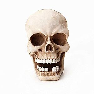 Skull Sculpture Storage Hook Skeleton Wall Mount Resin Creative Ornament Statue for Gift Halloween Party Decor