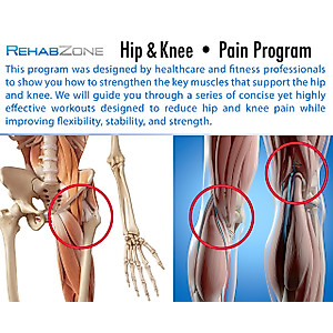 RehabZone Hip and Knee Pain Program: Physician Endorsed Home Rehabilitation DVD Program Created for Those Seeking to Reduce Hip or Knee Pain