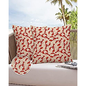 Outdoor Pillow Covers Waterproof, Sea Creatures Crawfish Throw Pillowcase Decorative Cover, Vintage Red Marine Life Filling Garden Cushion Case Set of 2 for Sofa, Couch, Tent, Patio 16"x16"