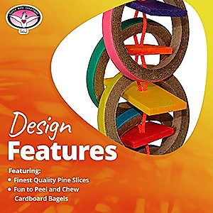 Super Bird Creations SB625 Olympic Rings Bird Toy, Large Bird Size, 15” x 4” x 4”