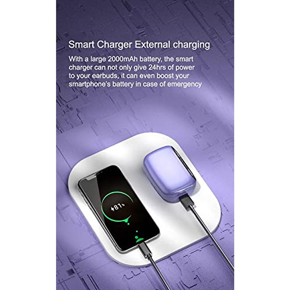 Acuvar in-Ear Wireless Bluetooth 5.2 Headphones, Earbuds IPX6 Waterproof with Microphone Rechargeable USB C Case for Smartphones Android iOS (Purple)