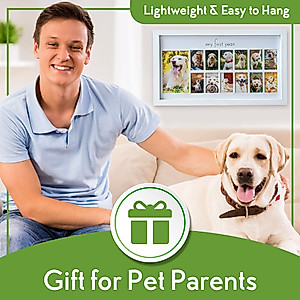 Green Pollywog | My First Year Picture Frame for Dogs | 12 Month Photo Frame | White Wood Frame | Fur Baby Frame | Fur Baby Milestone Picture Display | Dog Keepsake Frame | Dog Birthday Gift