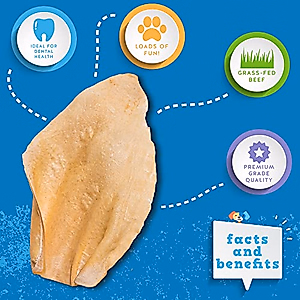 Jack&Pup Thick White Cow Ears for Dogs Single Ingredient Dog Treat, Flavorful Healthy Dog Treats Natural Dog Treats for Medium Dogs with Chondroitin Joint Health for Dogs Cow Ear Dog Chews (15 Pack)