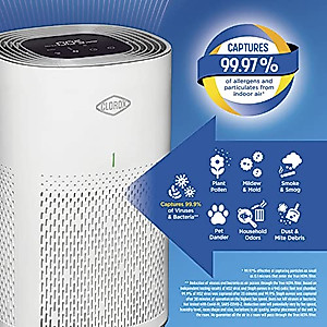 Clorox Air Purifiers for Home, True HEPA Filter, Medium Rooms Up to 1,000 Sq Ft, Removes 99.9% of Mold, Viruses, Wildfire Smoke, Allergens, Pet Allergies, Dust, AUTO Mode, Whisper Quiet