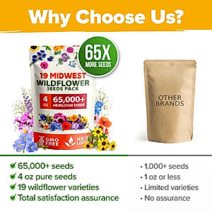 HOME GROWN Midwest Wildflower Seeds Mix 4oz | 65,000 Non-GMO, USA Sourced, High Germination Rate | Heirloom Pollinator Flowers Seed Mix | Wild Flower Seeds Bulk | Covers 500 sq. ft.