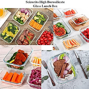 Scizorito 10PACK Glass Meal Prep Containers, for Lunch Food & Fruit Storage with Lids,Glass Lunch Box for Kitchen (10-Pink)