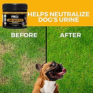 Pet Chef Lawn Saver Plus! - Dog Urine Neutralizer for Lawn, Grass Saver Soft Chews, Green Grass Dog Chews, Prevents Lawn Burn from Dog Urine, Repair & Prevent Damage to Green Plants from Dog Pee.