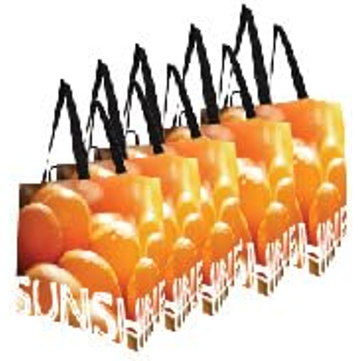 Earthwise Reusable Grocery Shopping Bags Extremely Durable Multi Use Large Stylish Fun Foldable Water-Resistant Totes