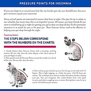 Pressure Point Therapy for Pets Kit: The Complete Do-It-Yourself (at Home Treatment Manual) Includes Book and Chart Pack for on-The-go
