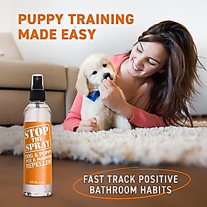 EBPP Stop the Spray - Dog & Puppy Pee Marking Repellent - Pet Training Spray - Puppy Potty Training Spray for Dogs - Dog Pee Stopper - Pee Deterrent for Dogs - No Marking Spray for Dogs Indoor 8oz