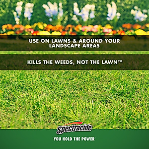 Spectracide Weed Stop For Lawns + Crabgrass Killer Concentrate, 32-oz, 6-PK, Clear